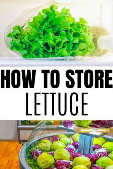 How to keep Lettuce fresh