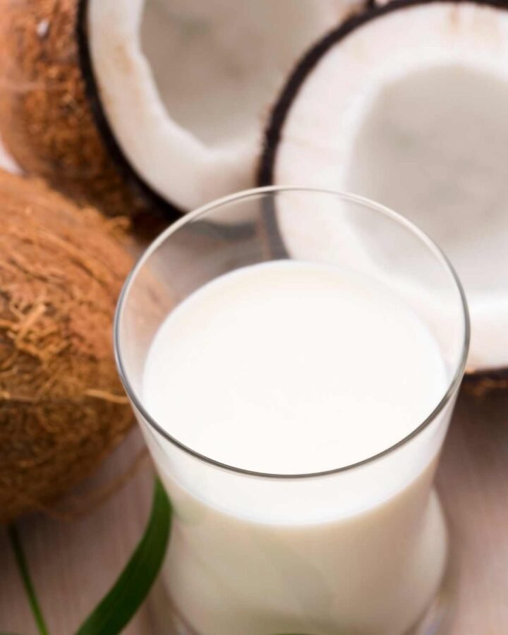 Easy Coconut Milk Recipe {5-minutes}