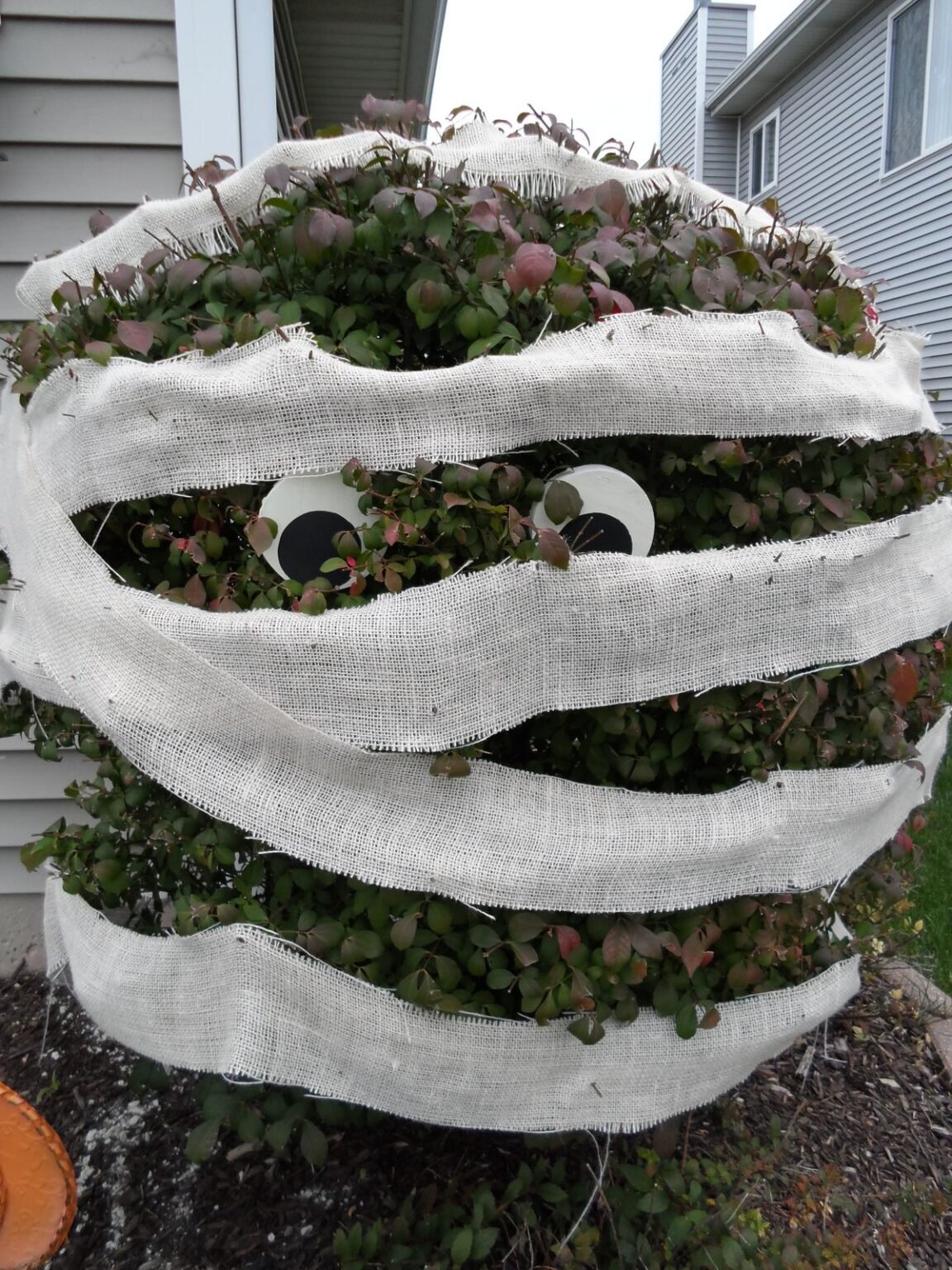 Spooky Halloween Outdoor Decors which are freakishly easy